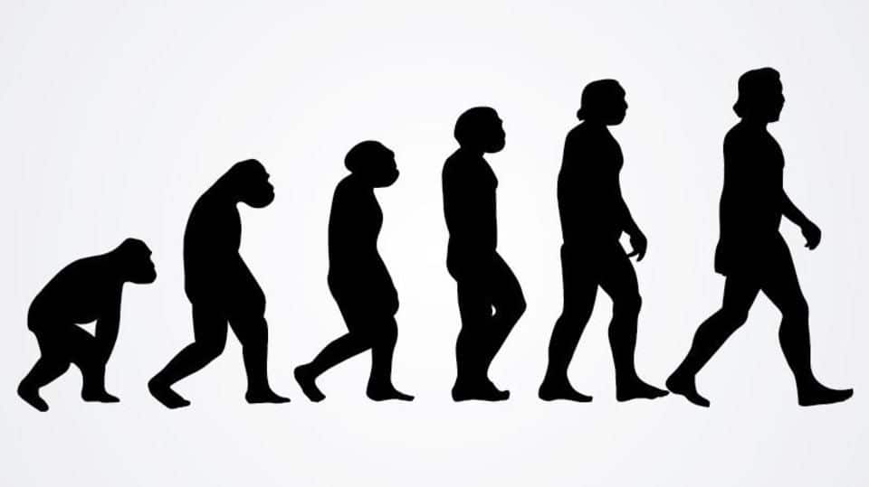 Our earliest ancestors were rats, not apes, claims new study
