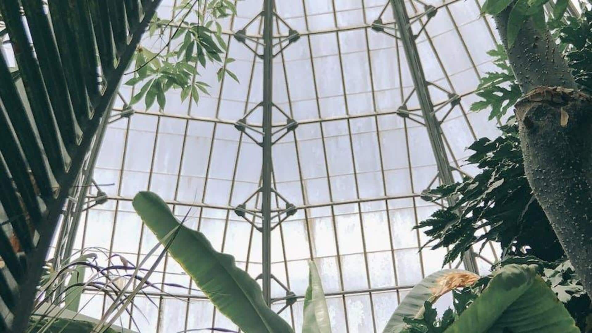 Smart bamboo solutions for garden decor