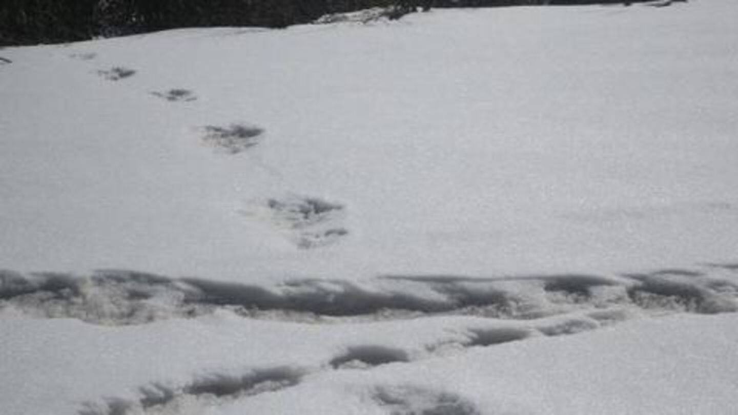 Indian Army says expedition team saw 'Yeti' footprints, shares evidence ...
