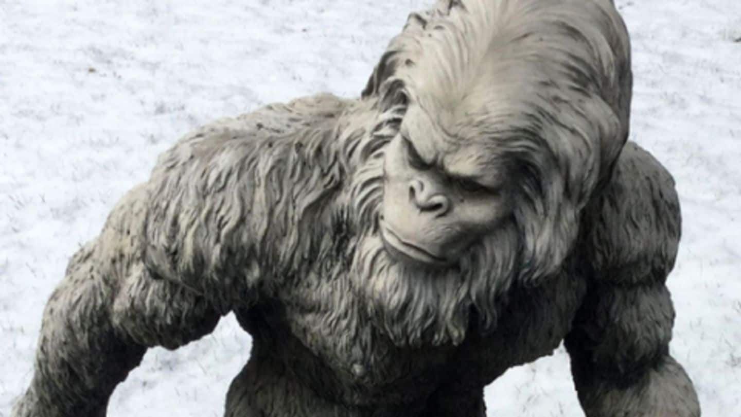 Indian Army says expedition team saw 'Yeti' footprints, shares evidence ...