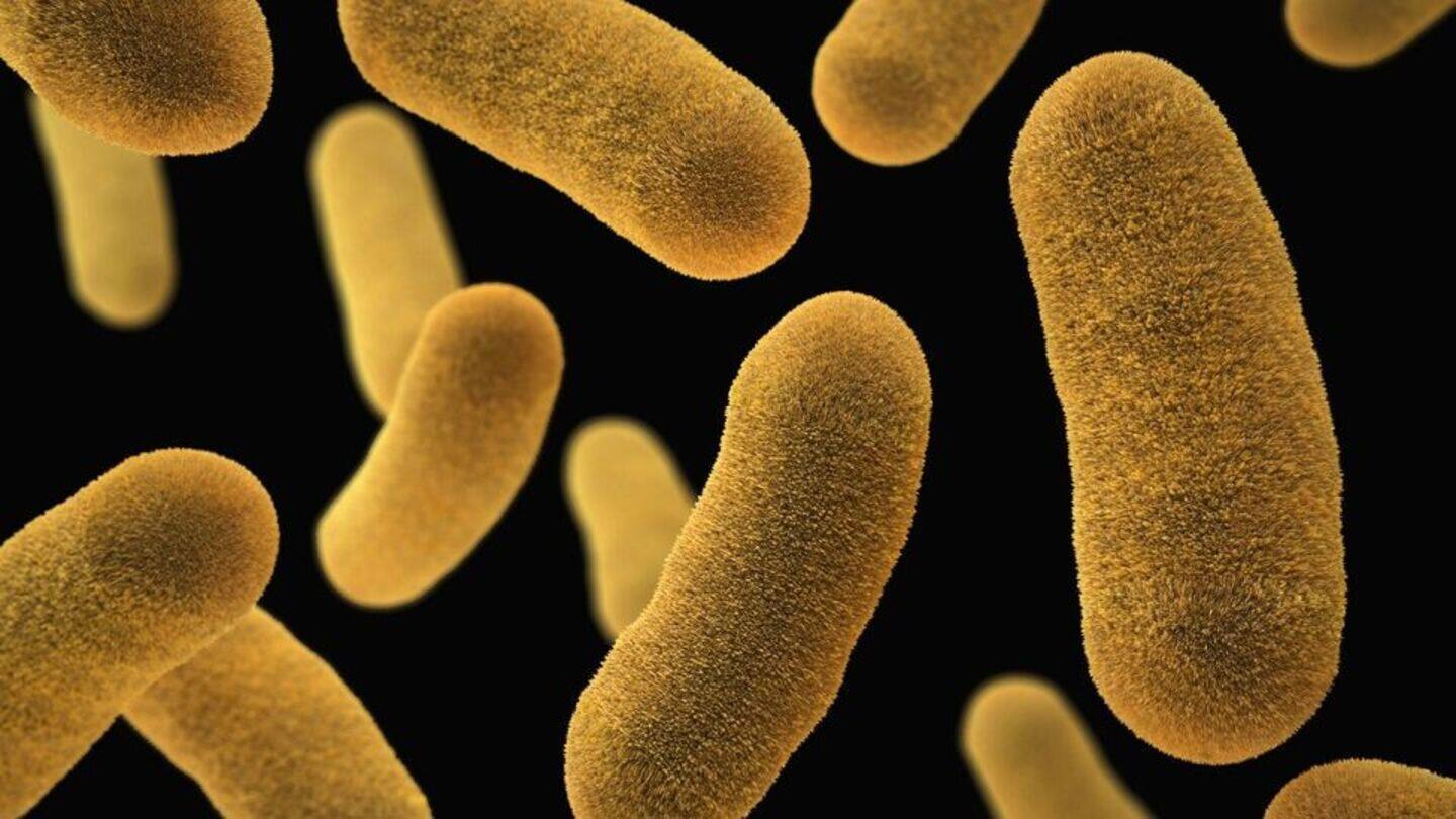 How 'friendly bacteria' can help your body fight cancer