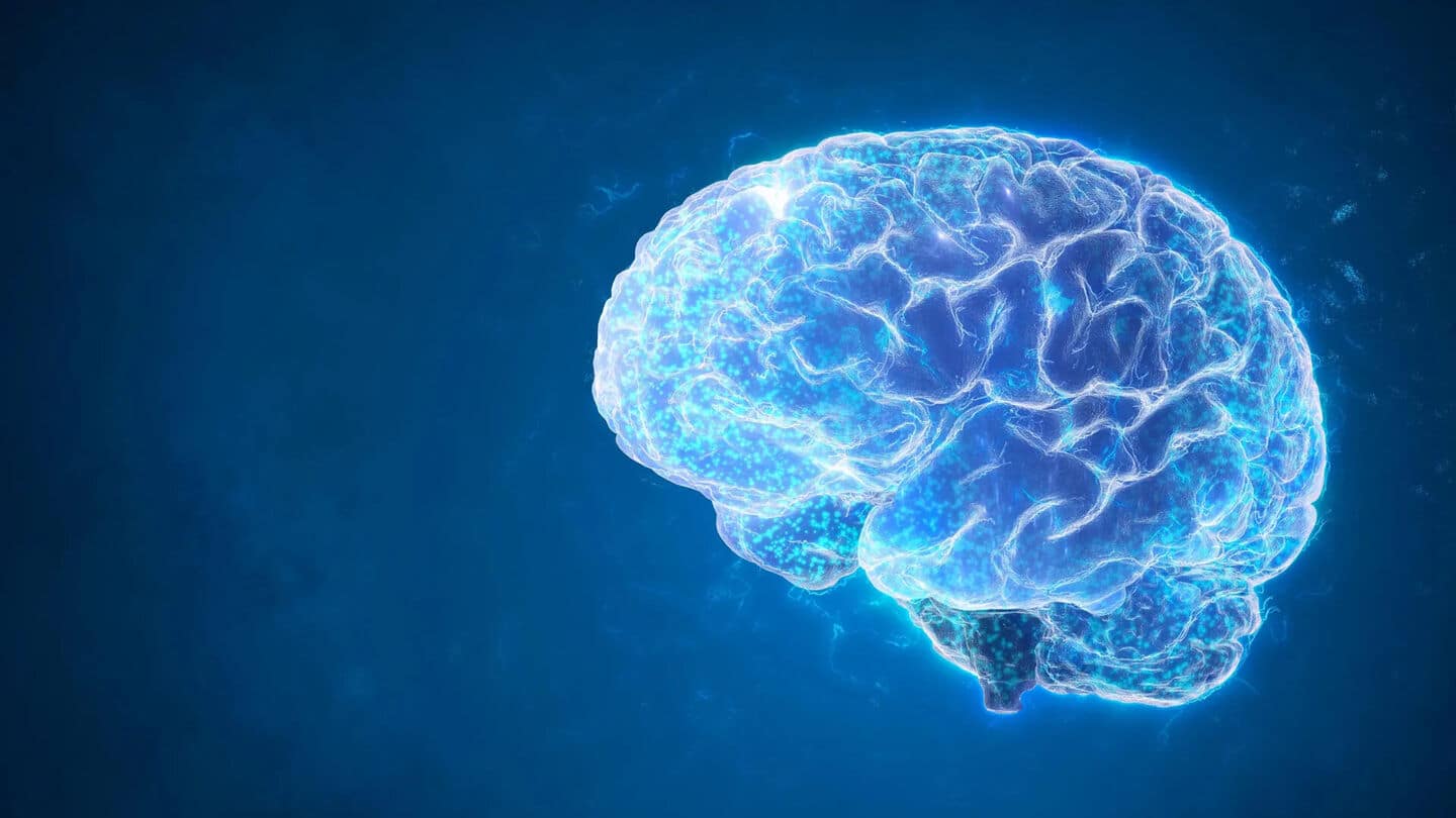 Brain training can reverse brain aging: Study