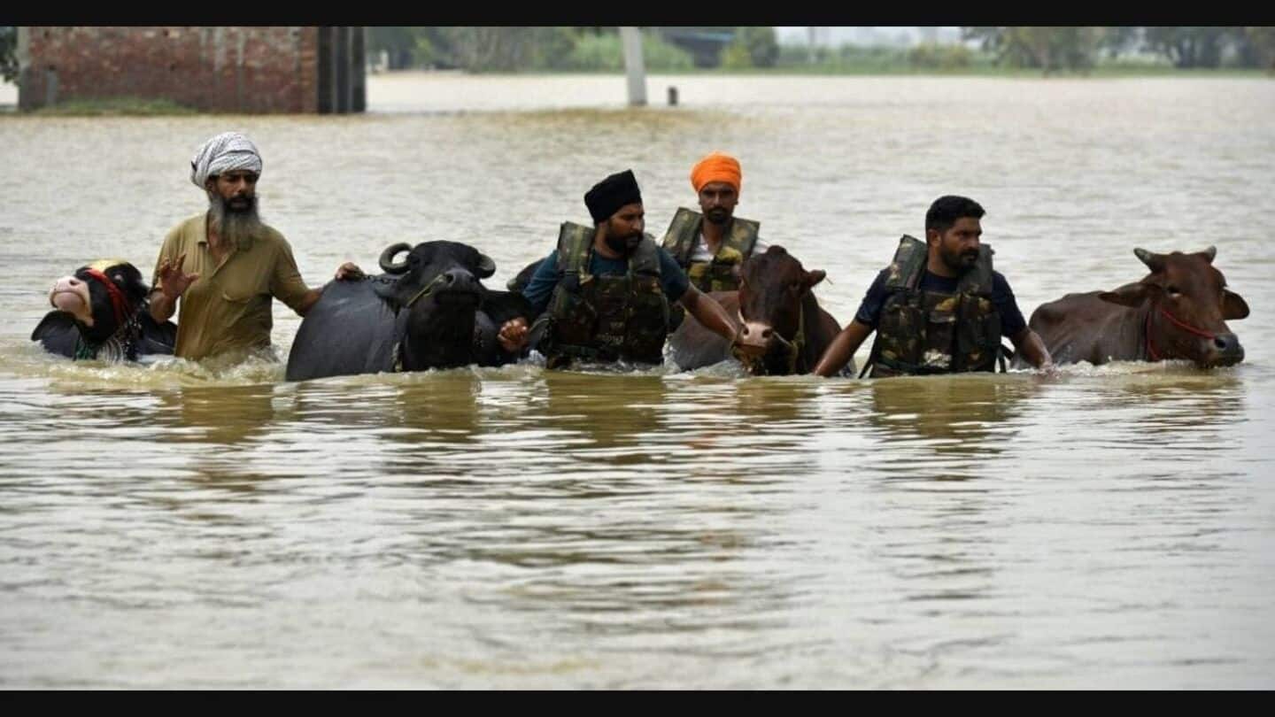 Punjab floods: 35,000 people affected, crops damaged in Amritsar