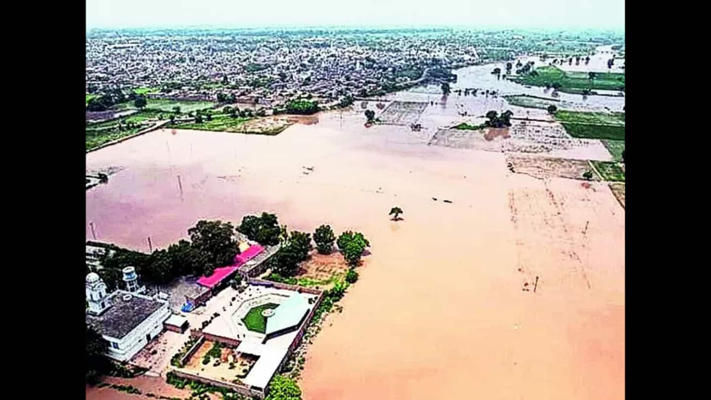 Punjab: Ghaggar river breaks embankment, floods nearby areas