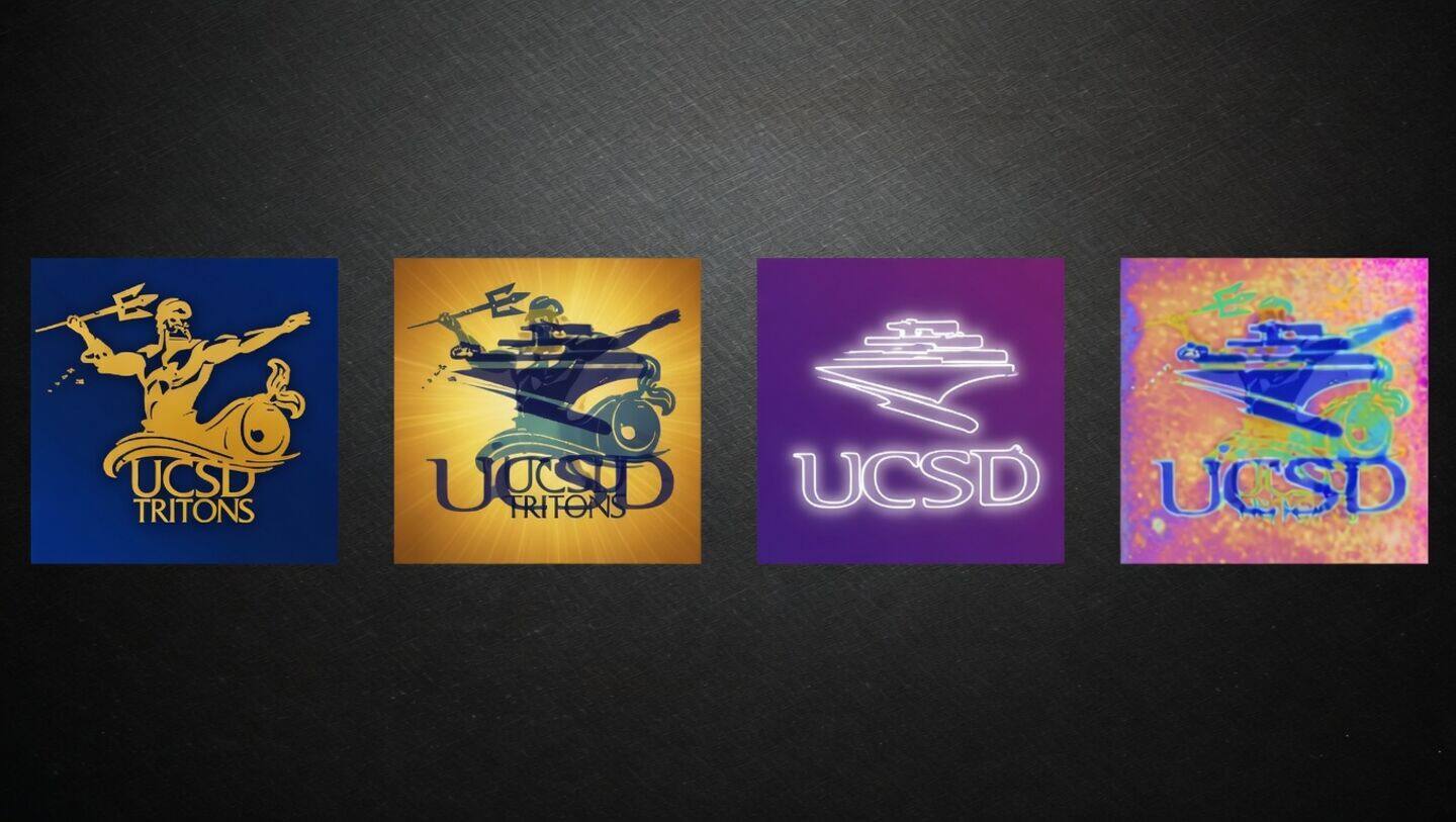 UC San Diego unveils postage stamp chip revealing hidden images