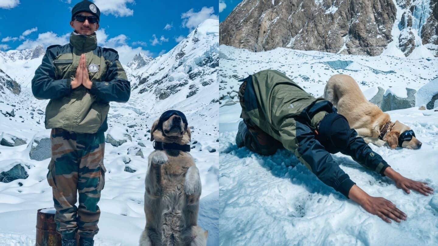 Indian Army marks Yoga Day with sniffer dogs on Siachen