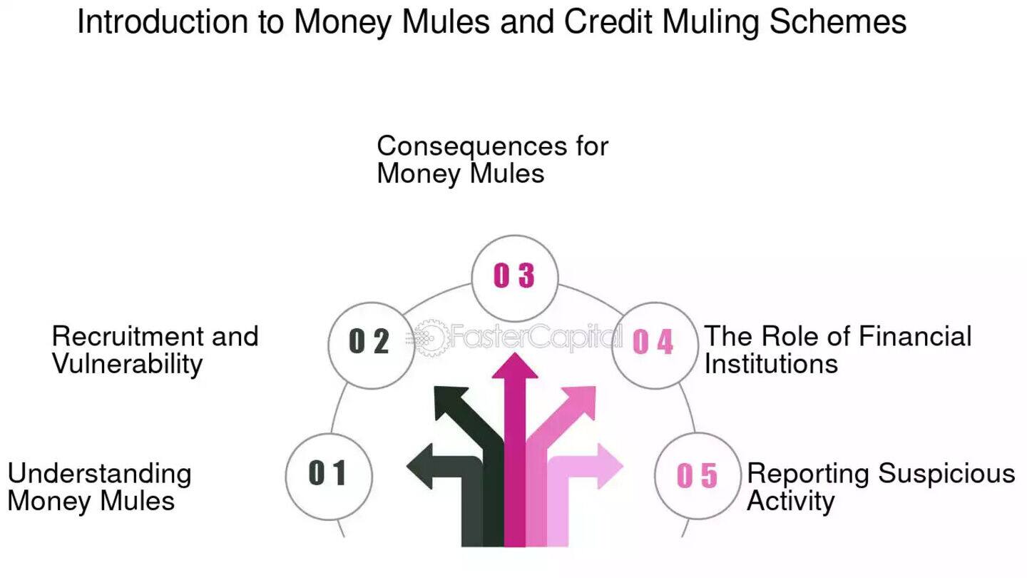 Explainer: Understanding mule account fraud and how to avoid it