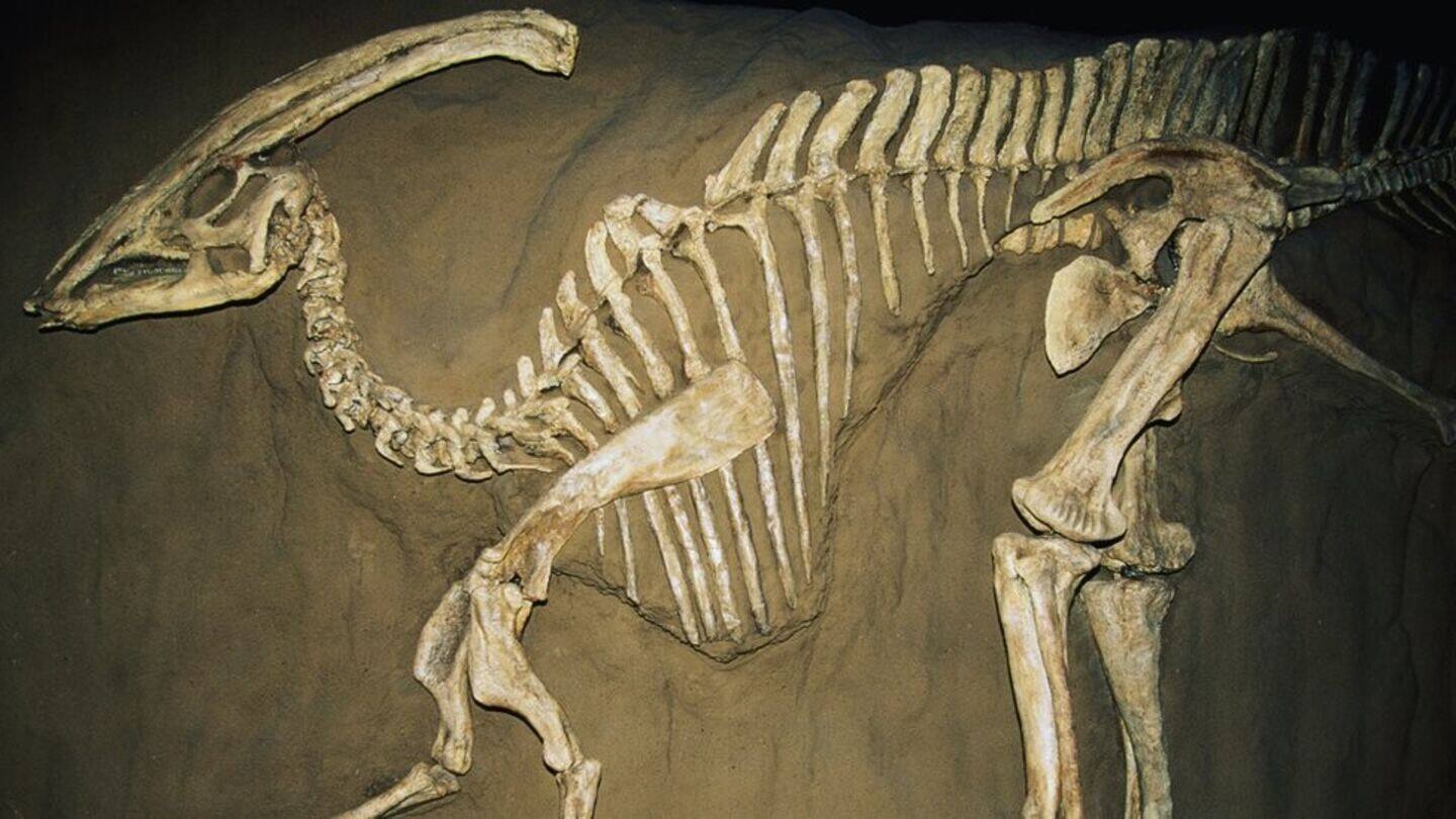Scientists find actual blood molecules in dino fossils