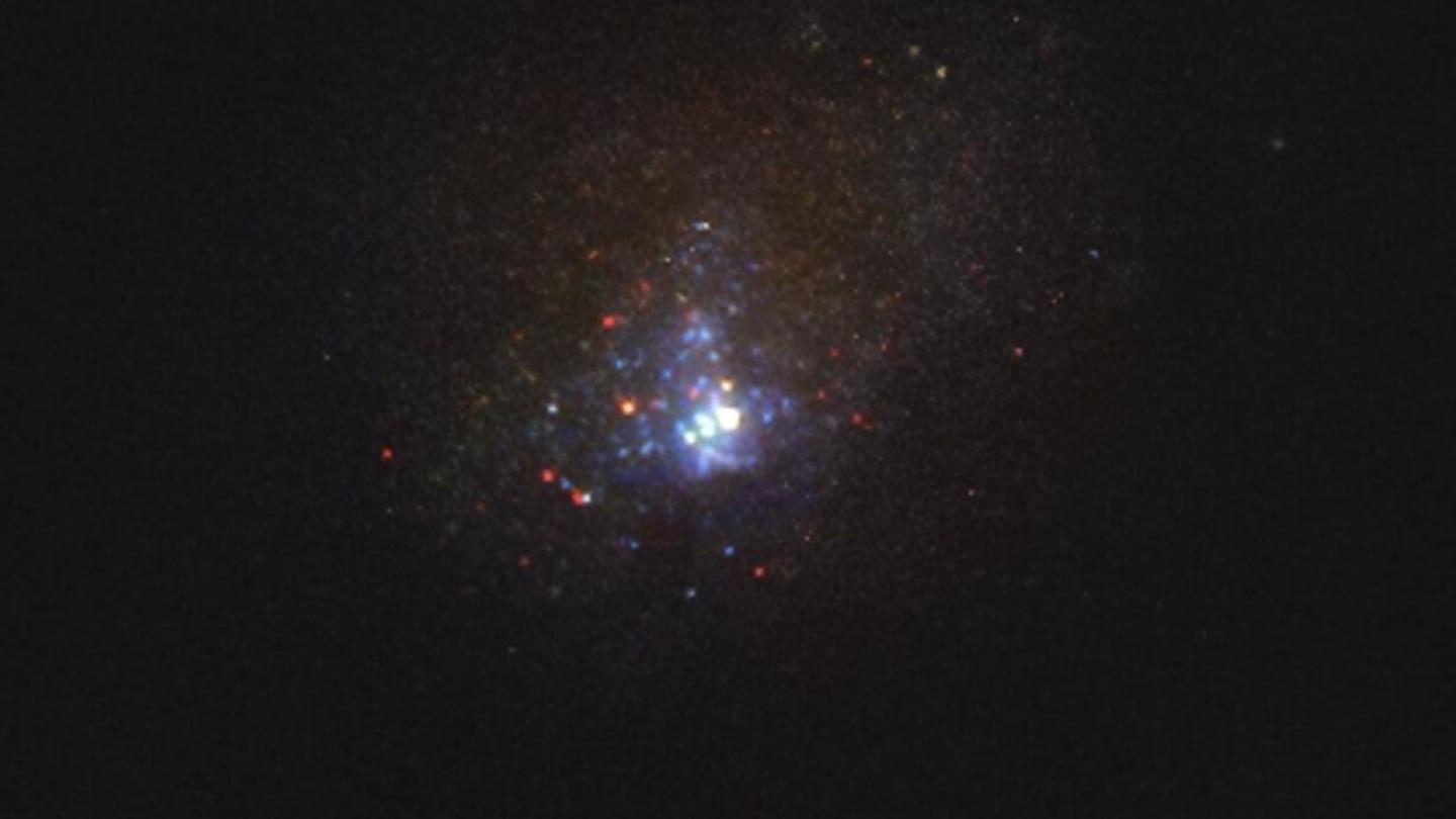 A massive star just vanished in a distant galaxy. How? | NewsBytes