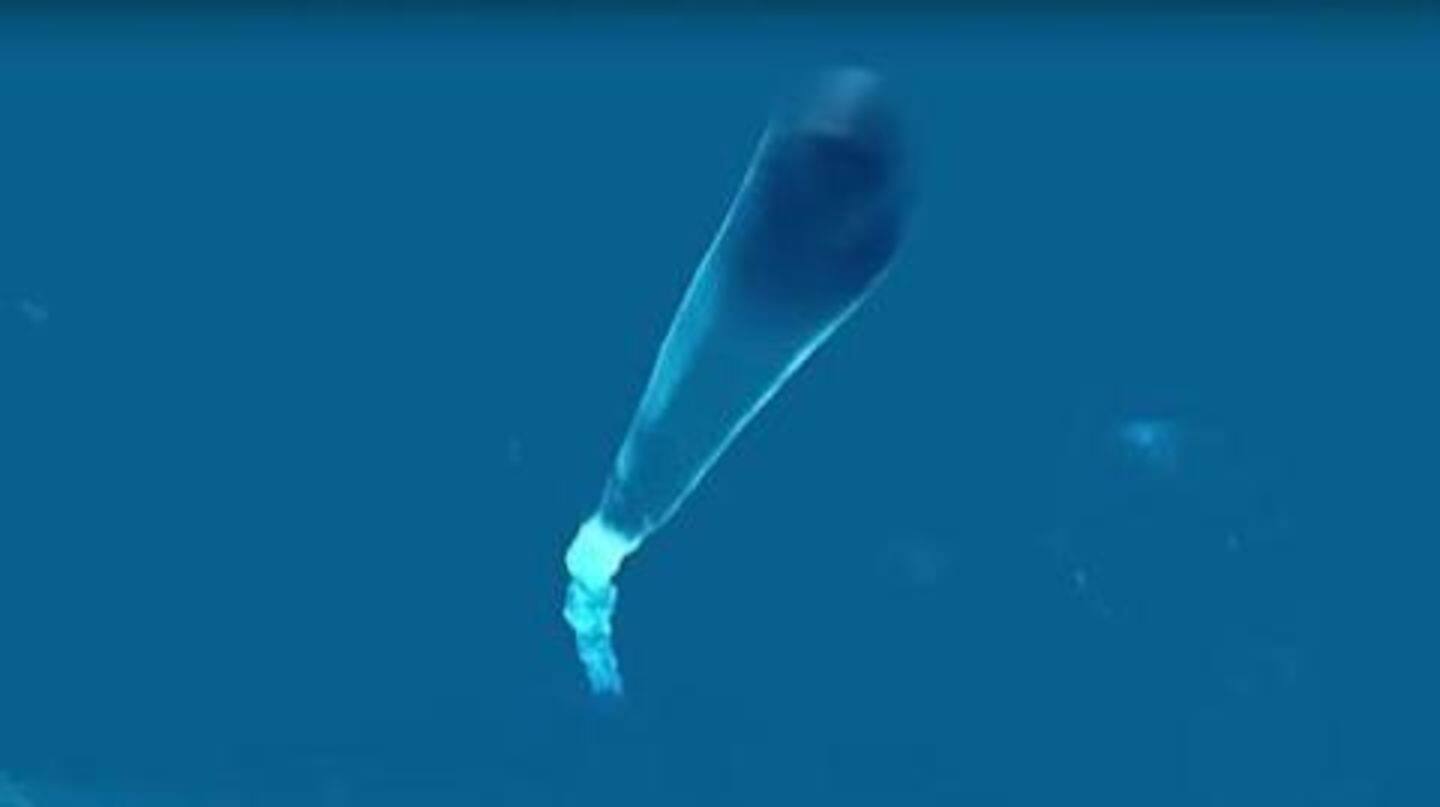 Russia's upcoming submarine can launch 'doomsday' nuclear drones ...