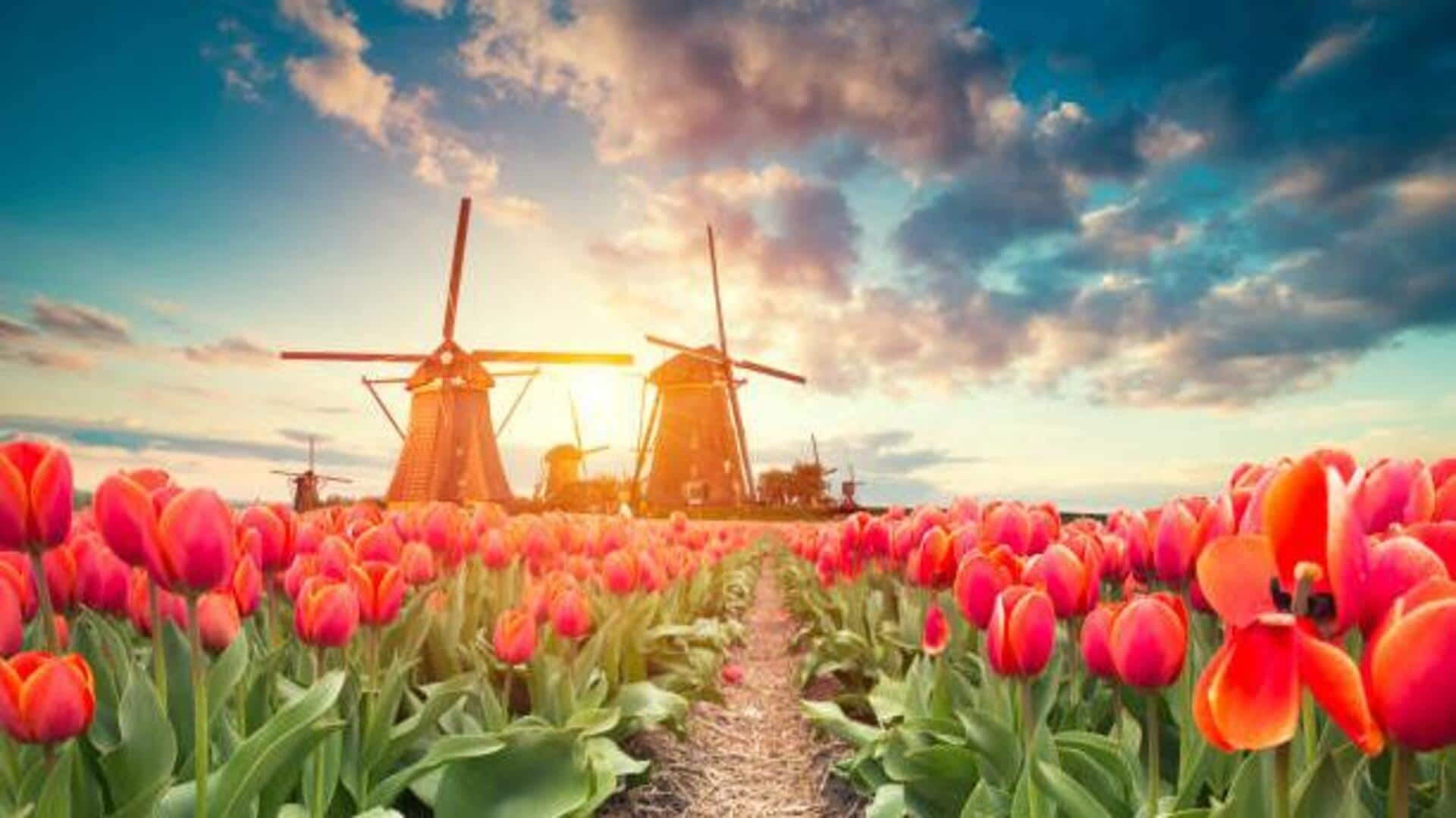 5 beautiful countryside spots in the Netherlands
