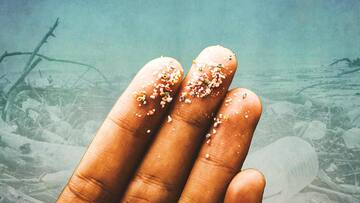 How to reduce exposure to microplastics in your daily life