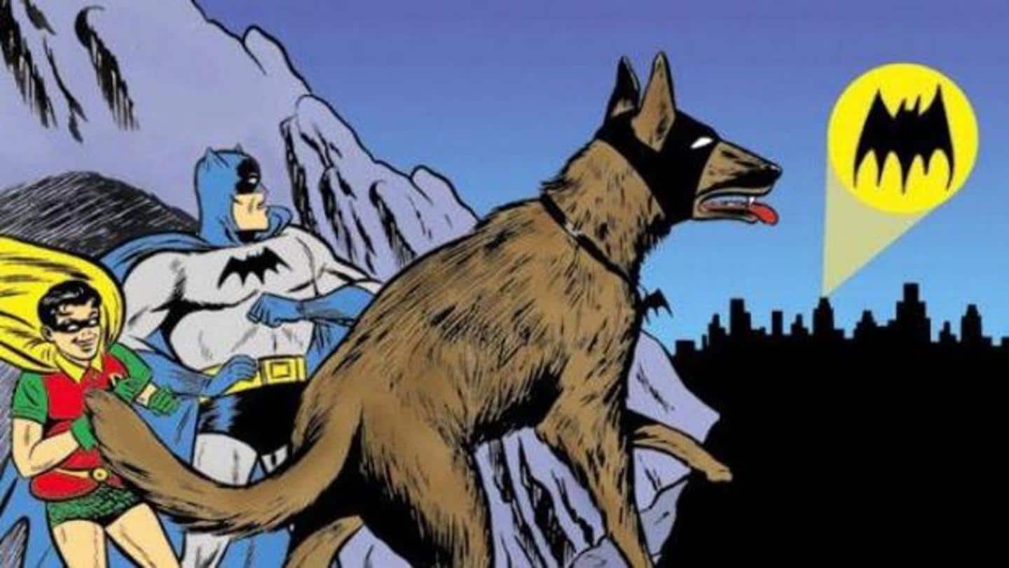 #ComicBytes: The most iconic pets in the DC universe | NewsBytes