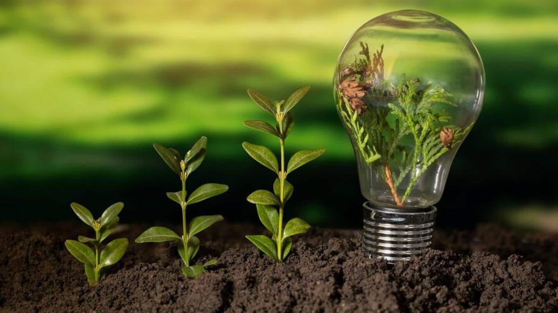 Books on sustainability for those embarking on a sustainable lifestyle