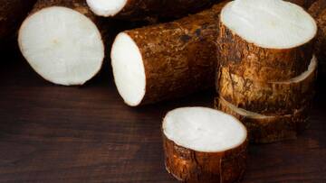 Check out the top 5 health benefits of tapioca