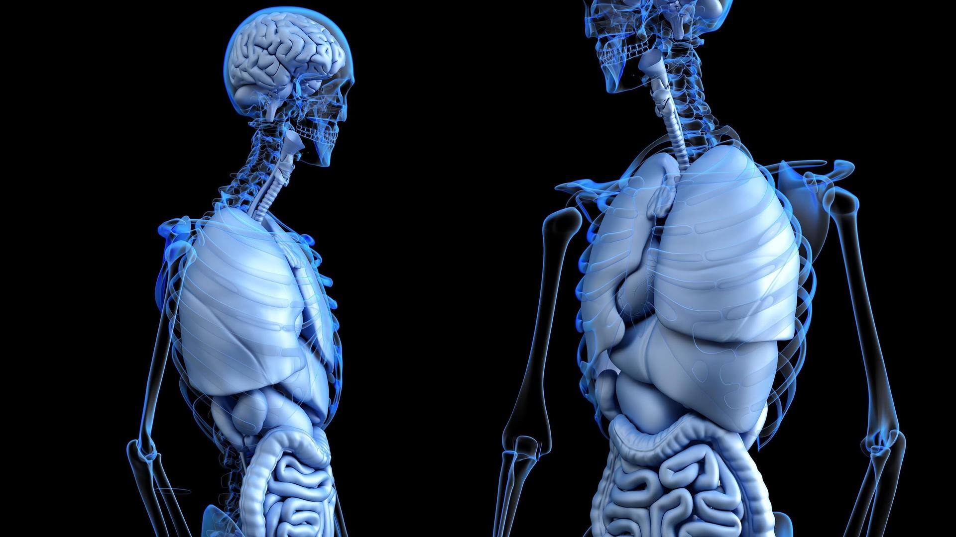 What Is Bone Resorption Symptoms Causes And Treatment