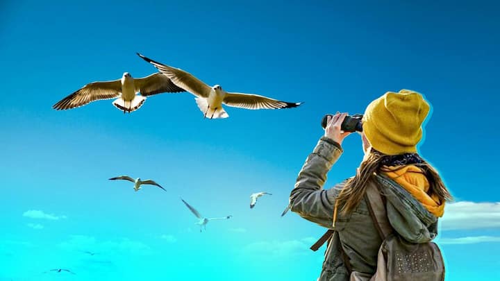 Birdwatching: Everything you need to know about this wonderful pastime