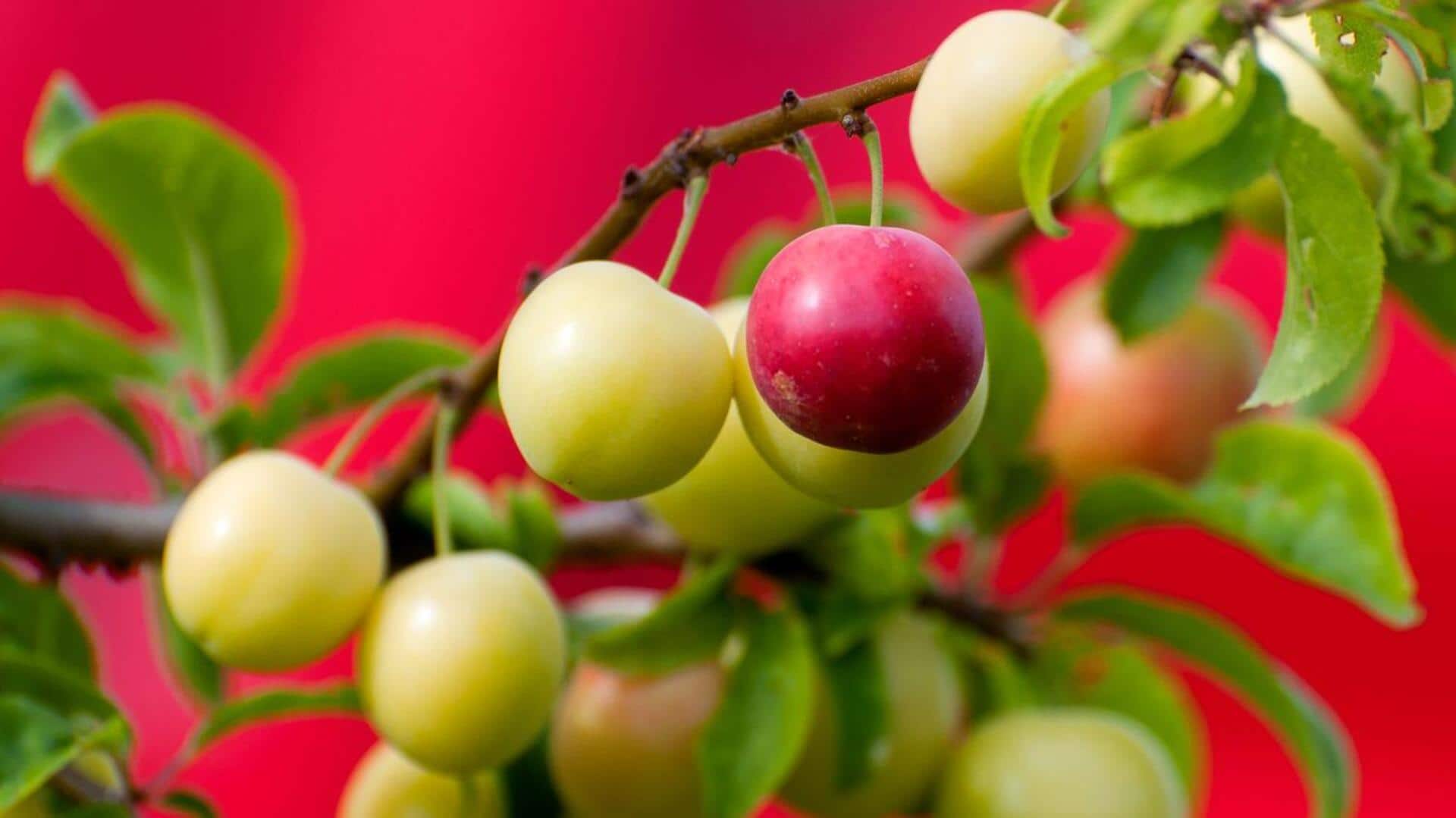 What are camu camu berries?